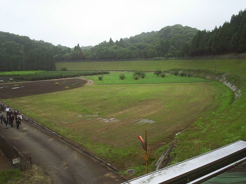 Atomkertek: ahol gamma-sugarak segítségével nemesítették a növényeket ...