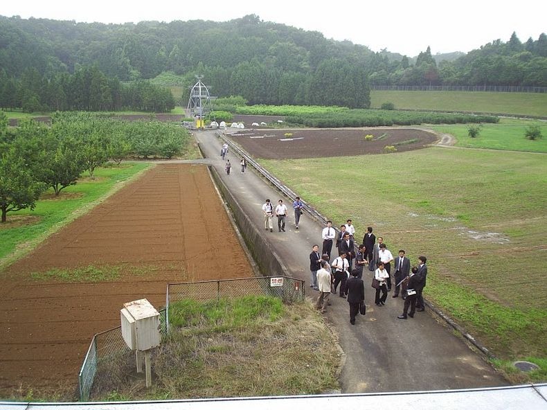 Atomkertek: ahol gamma-sugarak segítségével nemesítették a növényeket ...